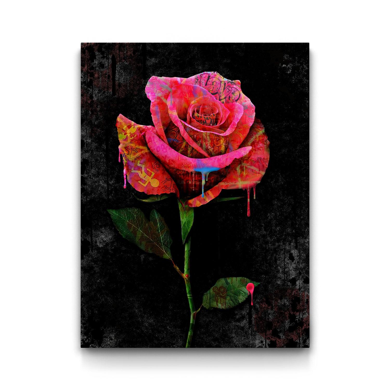 Graffiti Rose Tegning